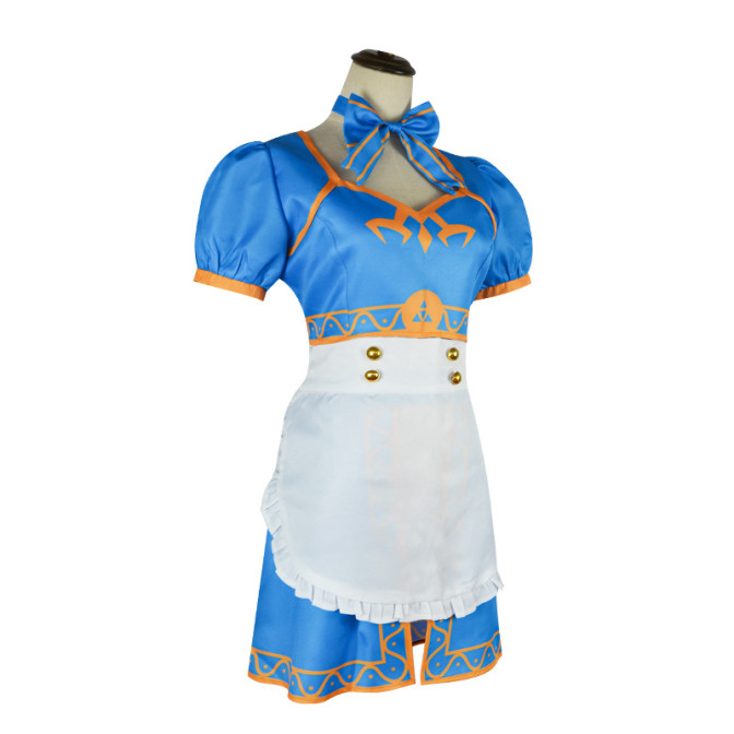 The Legend of Zelda Breath of the Wild Princess Zelda Costume - Blue ...