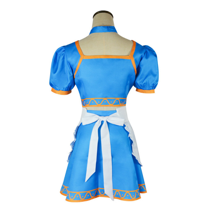 The Legend of Zelda Breath of the Wild Princess Zelda Costume - Blue ...
